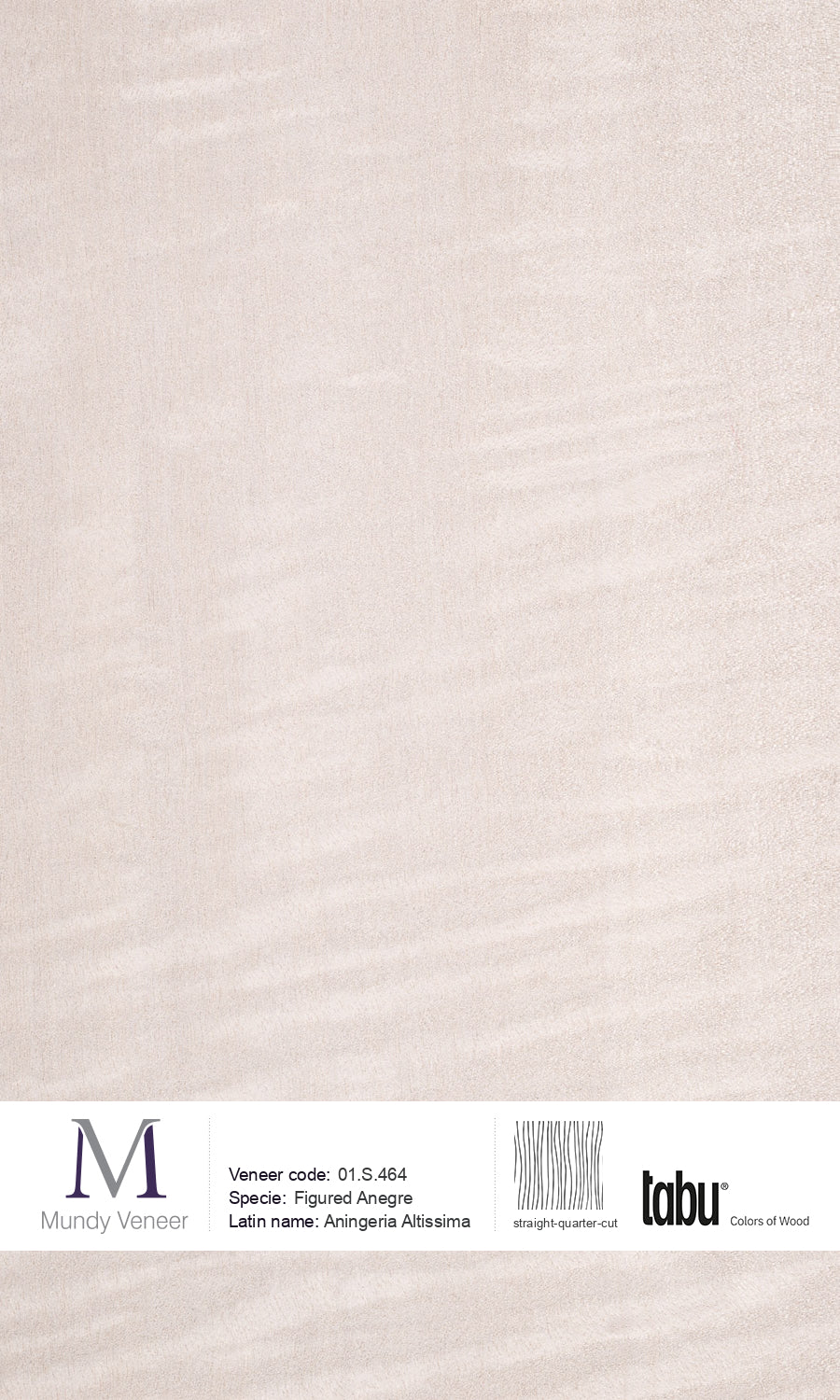 Cream Wood Veneer | Natural Dyed Premium Veneer | Mundy Veneer