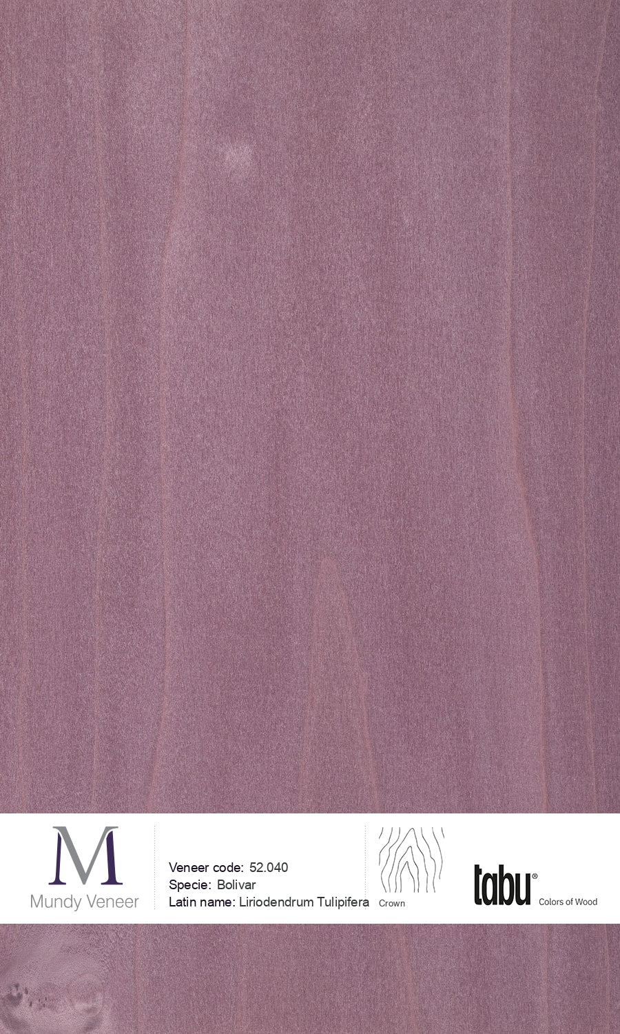 Purple Wood Veneer | Natural Dyed Premium Veneer | Mundy Veneer