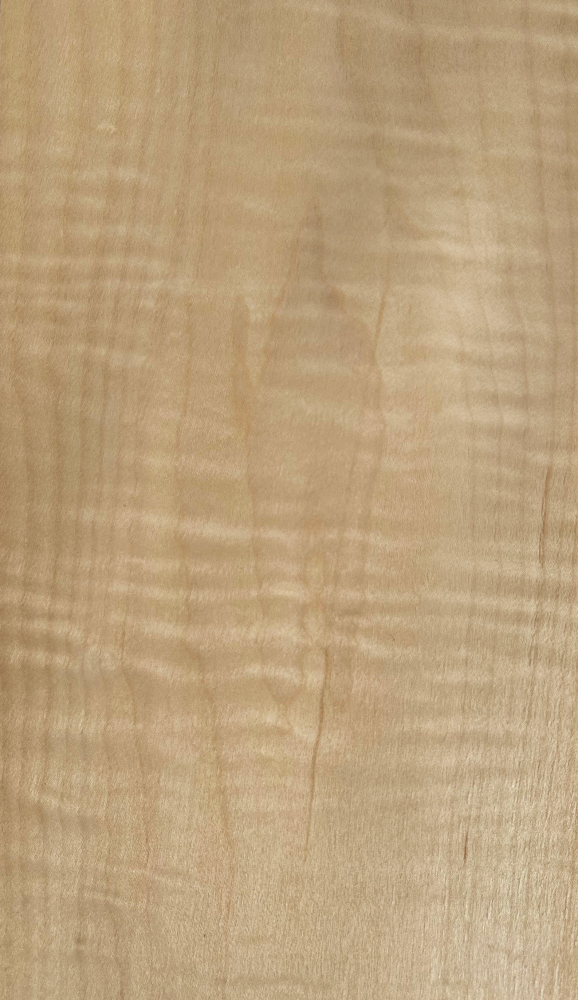 Maple Figured Wood Veneer | Natural Dyed Premium Veneer | Mundy Veneer