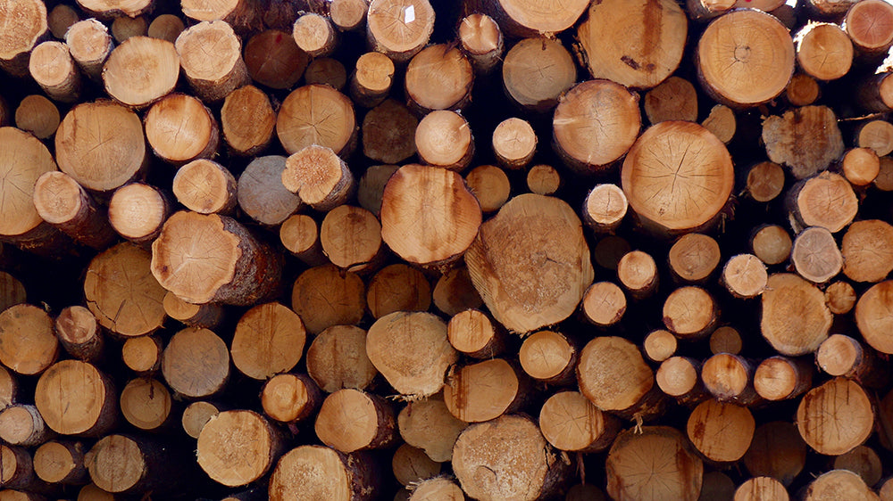 Certifications | FSC® & PEFC Veneer Supplier | Mundy Veneer