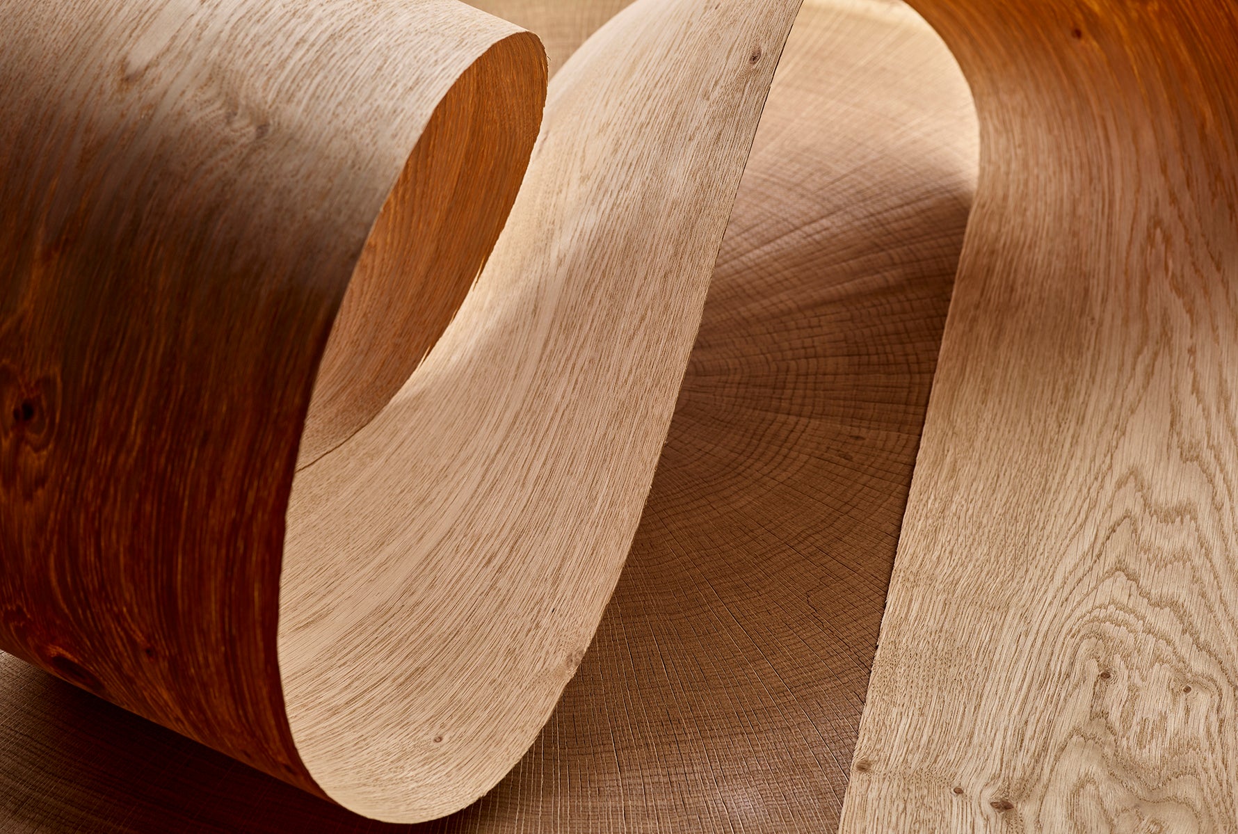 Veneer explained | What It Is, Structure & Uses