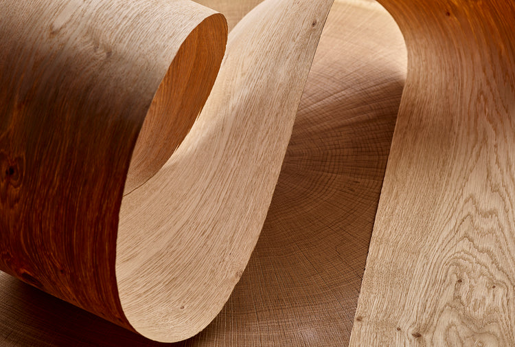 Veneer explained | What It Is, Structure & Uses