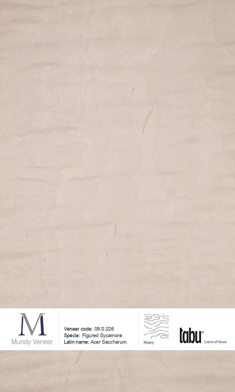 09.S.026, Figured Sycamore – Mundy Veneer