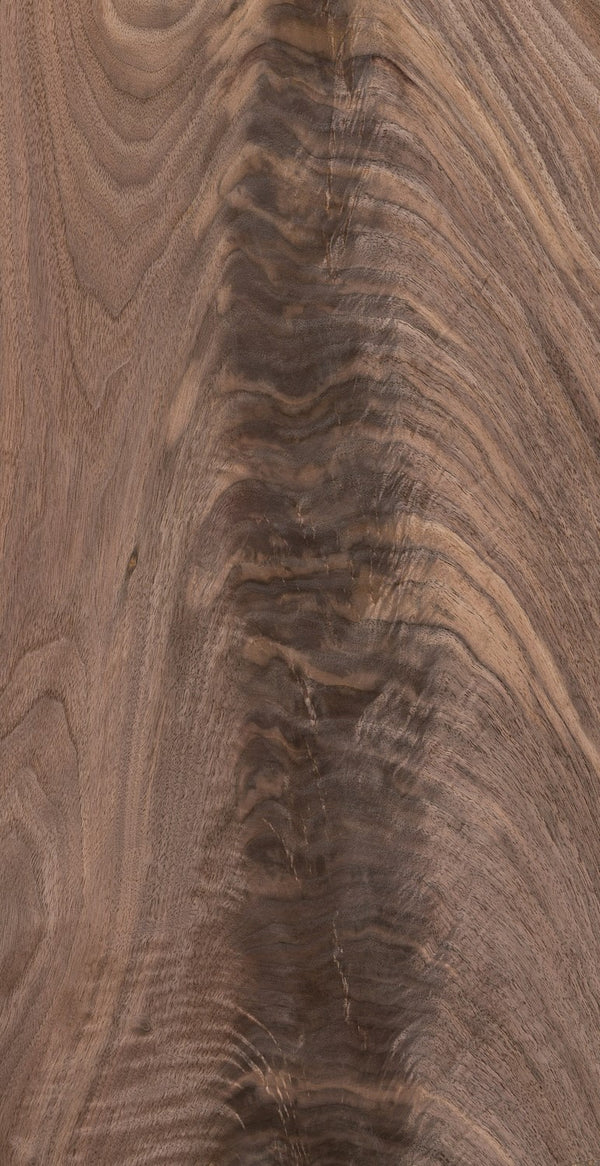 Walnut American Curl – Mundy Veneer