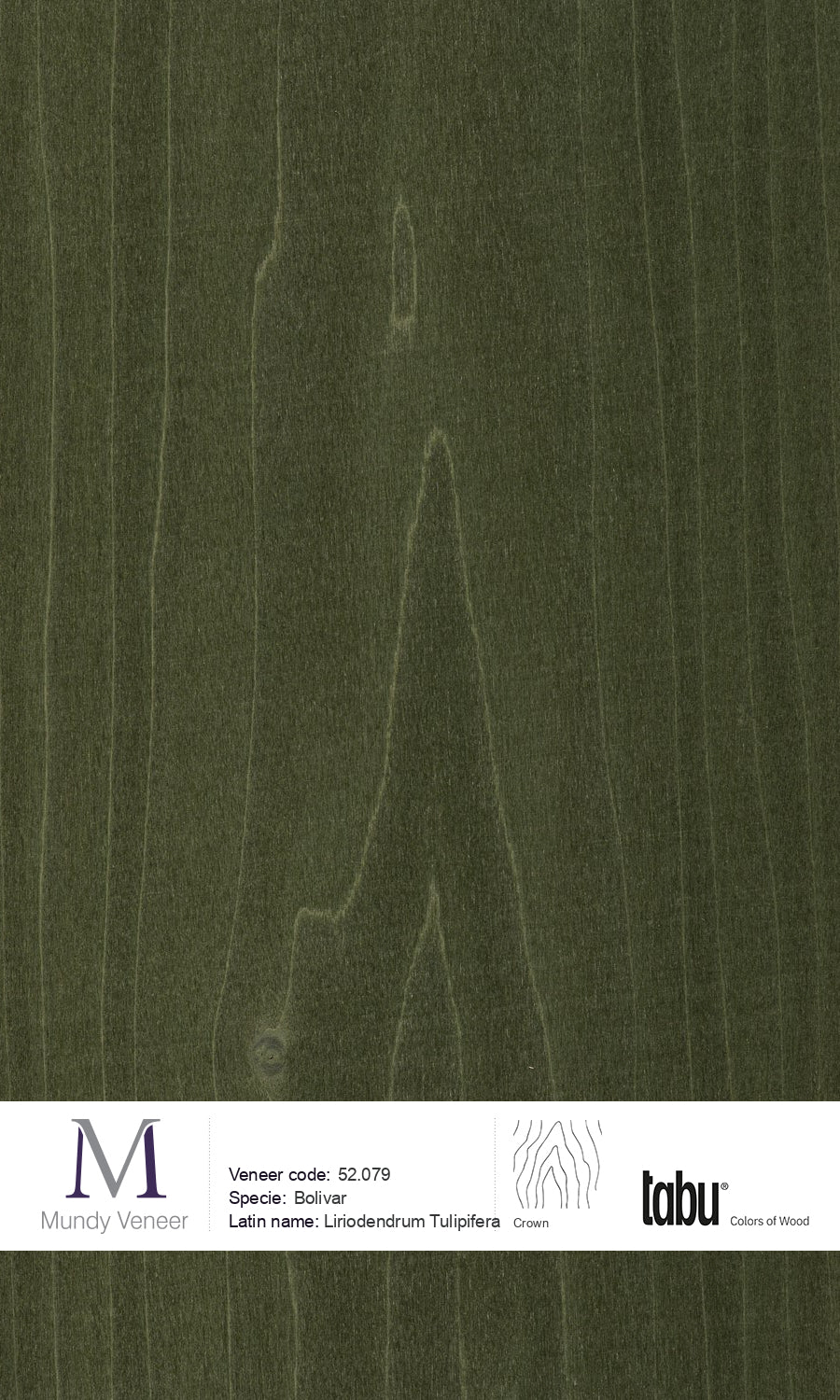 52.079, Bolivar Wood Veneer | Natural Dyed Premium Veneer | Mundy Veneer