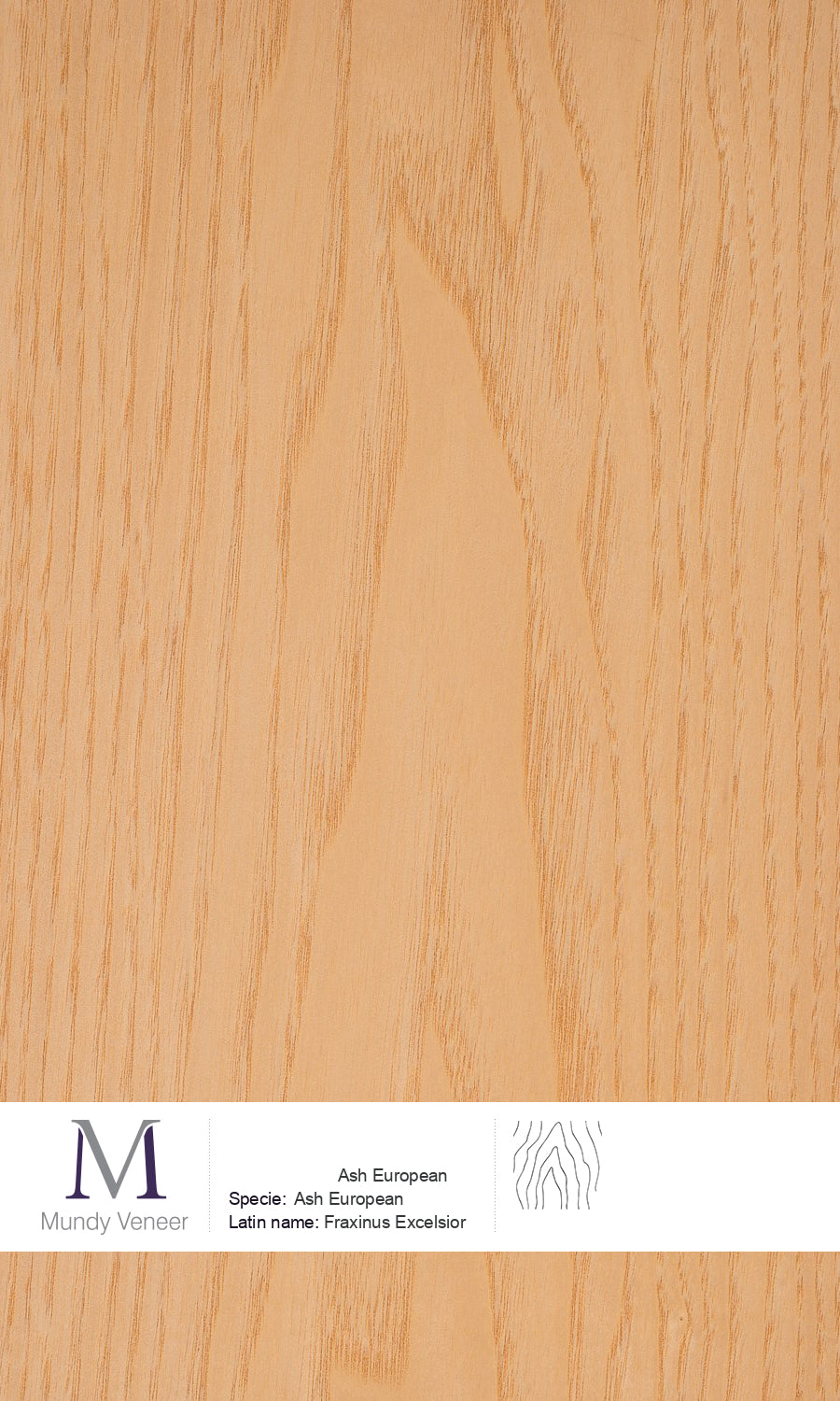 Ash European Wood Veneer | Natural Dyed Premium Veneer | Mundy Veneer