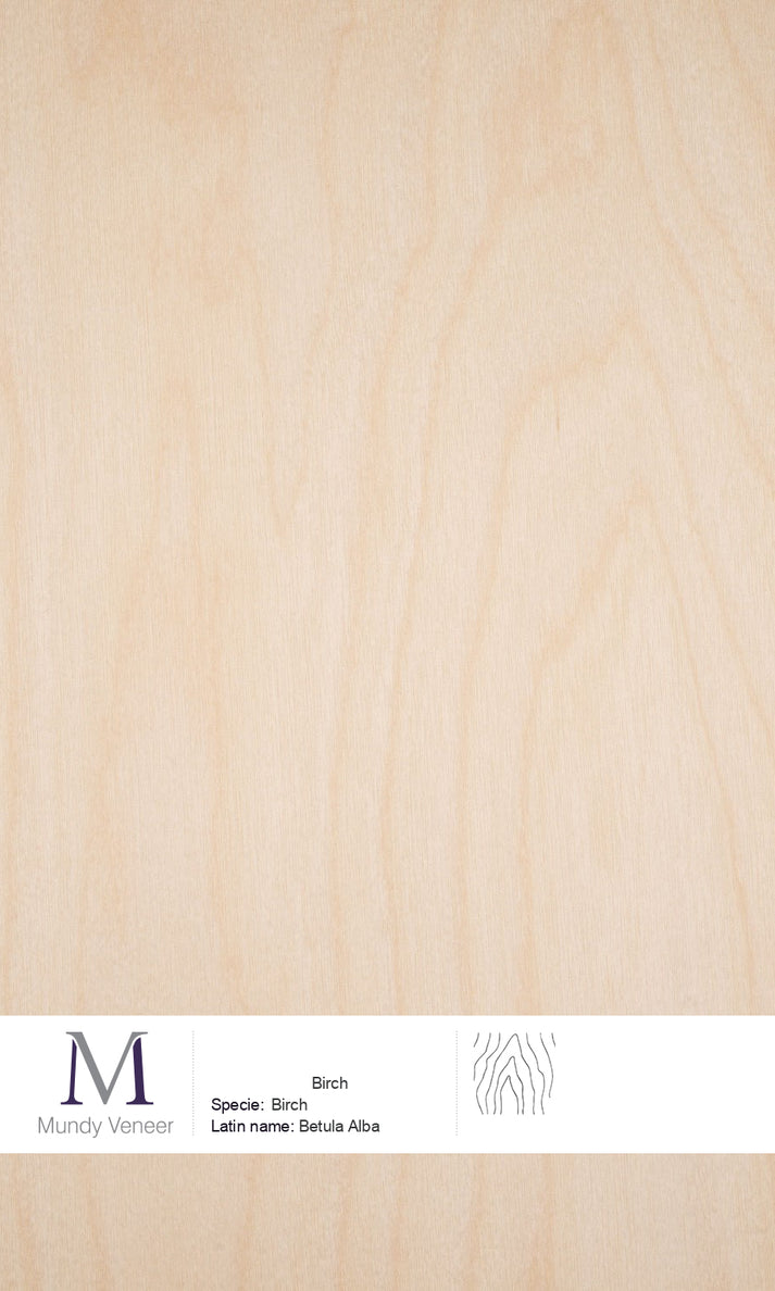Birch Wood Veneer | Natural Dyed Premium Veneer | Mundy Veneer