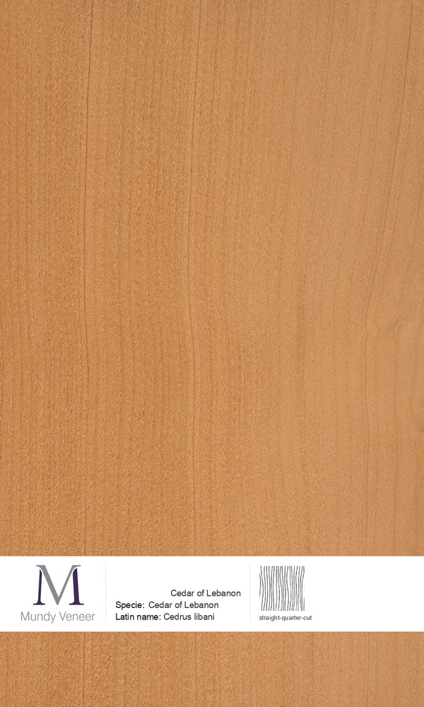 Cedar of Lebanon Wood Veneer | Natural Dyed Premium Veneer | Mundy Veneer