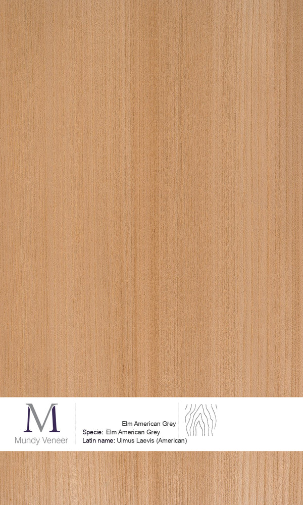 Elm American Grey Wood Veneer | Natural Dyed Premium Veneer | Mundy Veneer