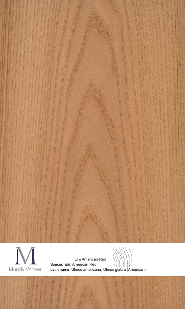 Elm American Red Wood Veneer | Natural Dyed Premium Veneer | Mundy Veneer