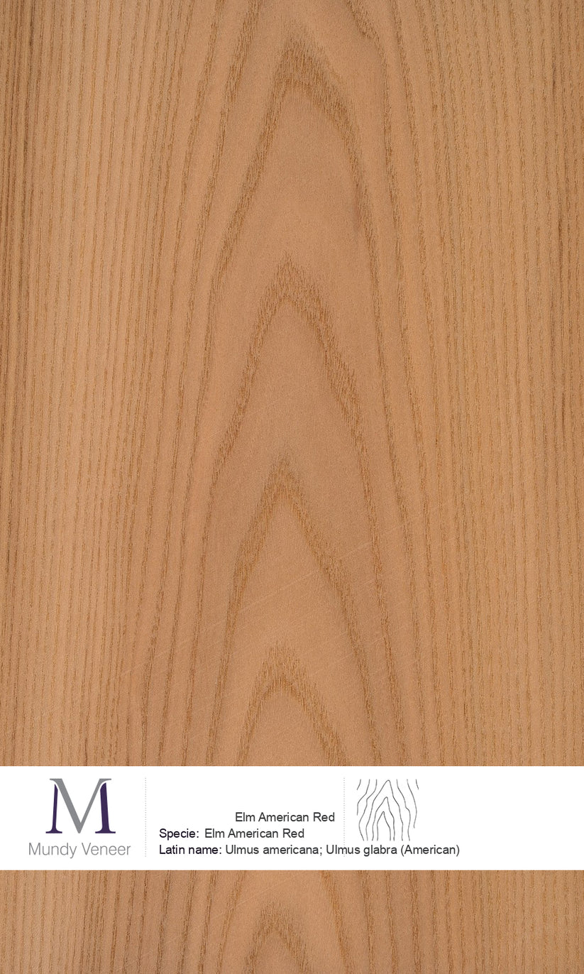 Elm American Red – Mundy Veneer