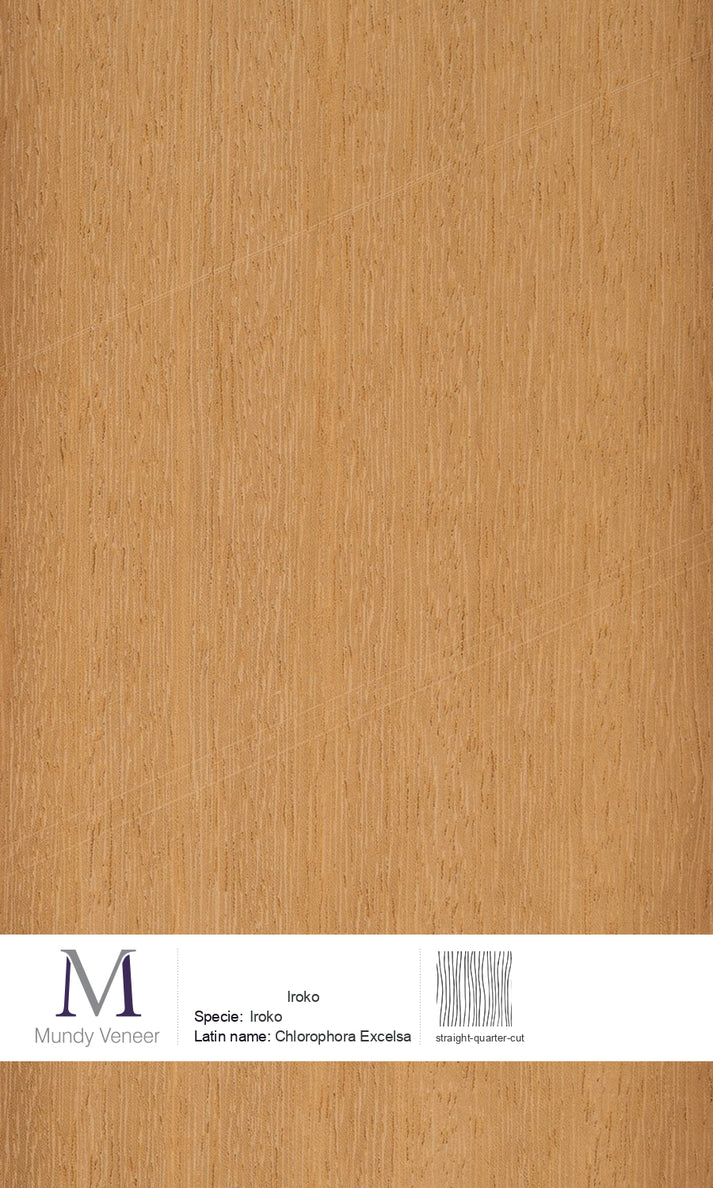Iroko Wood Veneer | Natural Dyed Premium Veneer | Mundy Veneer