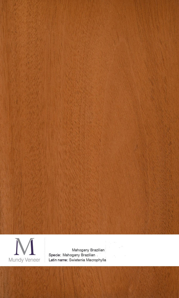 Mahogany Brazilian Wood Veneer | Natural Dyed Premium Veneer | Mundy Veneer