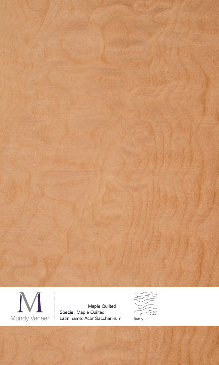 Maple Quilted Wood Veneer | Natural Dyed Premium Veneer | Mundy Veneer