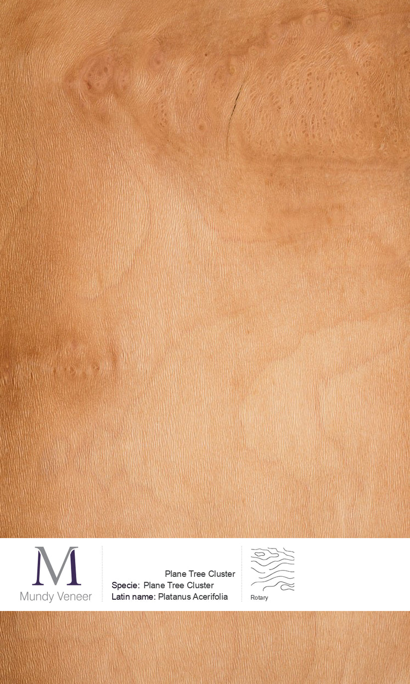 Plane Tree Cluster – Mundy Veneer