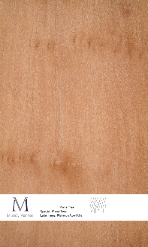 Plane Tree – Mundy Veneer