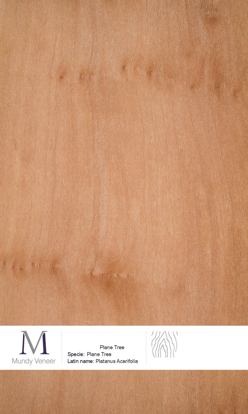 Plane Tree – Mundy Veneer