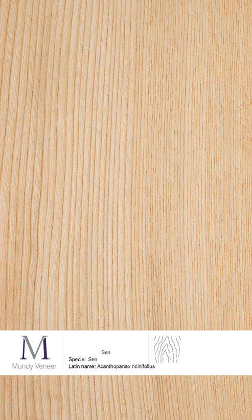 Sen Wood Veneer | Natural Dyed Premium Veneer | Mundy Veneer