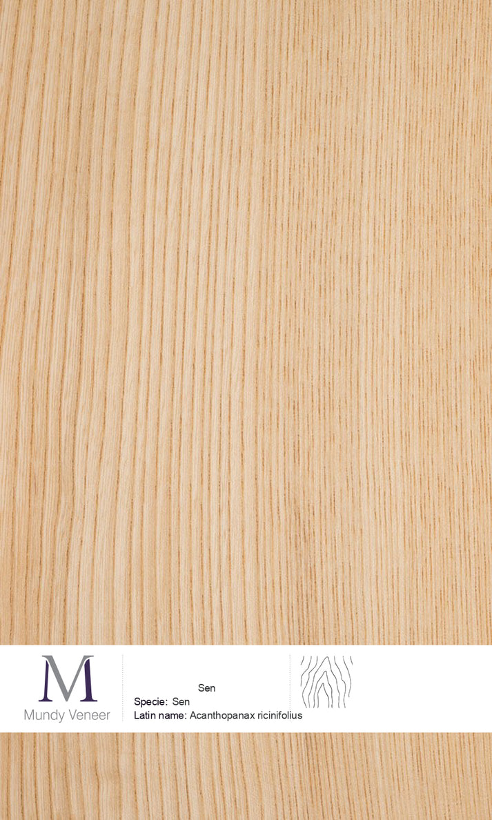 Sen Wood Veneer | Natural Dyed Premium Veneer | Mundy Veneer