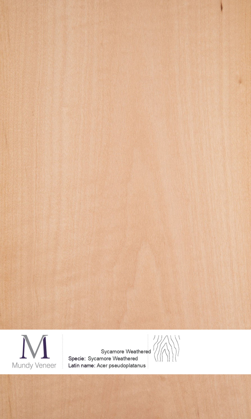 Sycamore Weathered – Mundy Veneer
