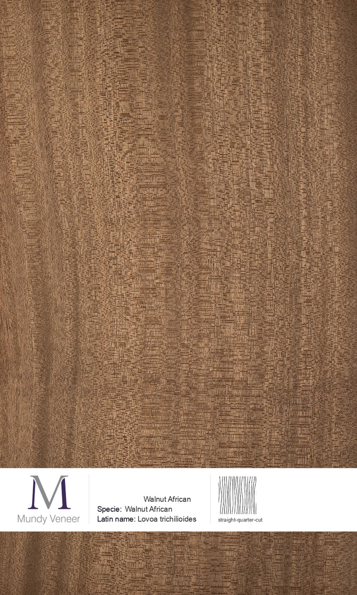 Walnut African Wood Veneer | Natural Dyed Premium Veneer | Mundy Veneer