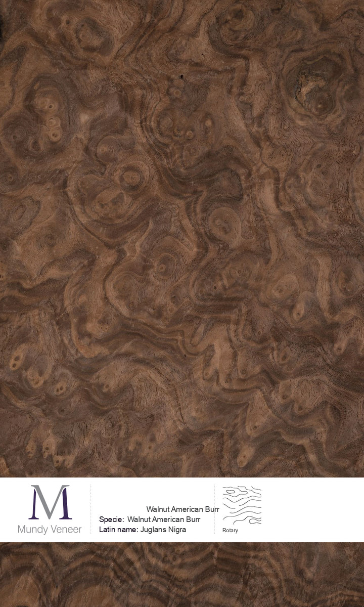 All Veneer – Mundy Veneer