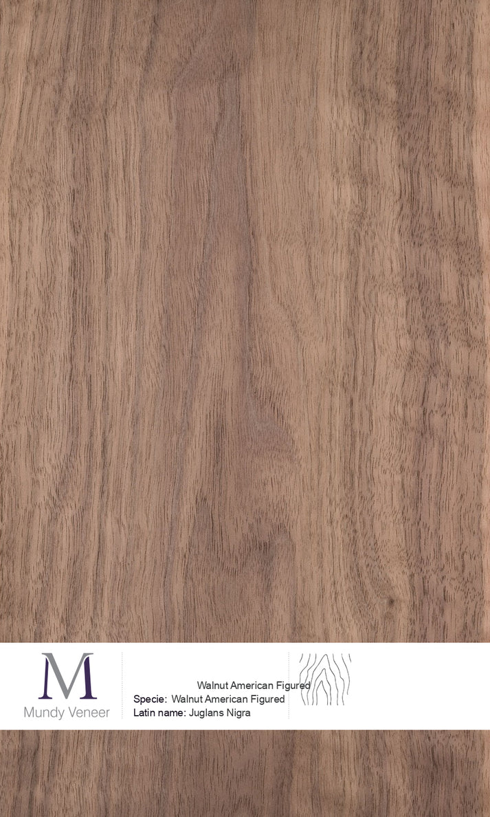 Walnut American Figured Wood Veneer | Natural Dyed Premium Veneer ...