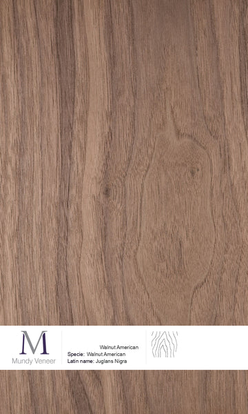 99.001, European Walnut Burr – Mundy Veneer