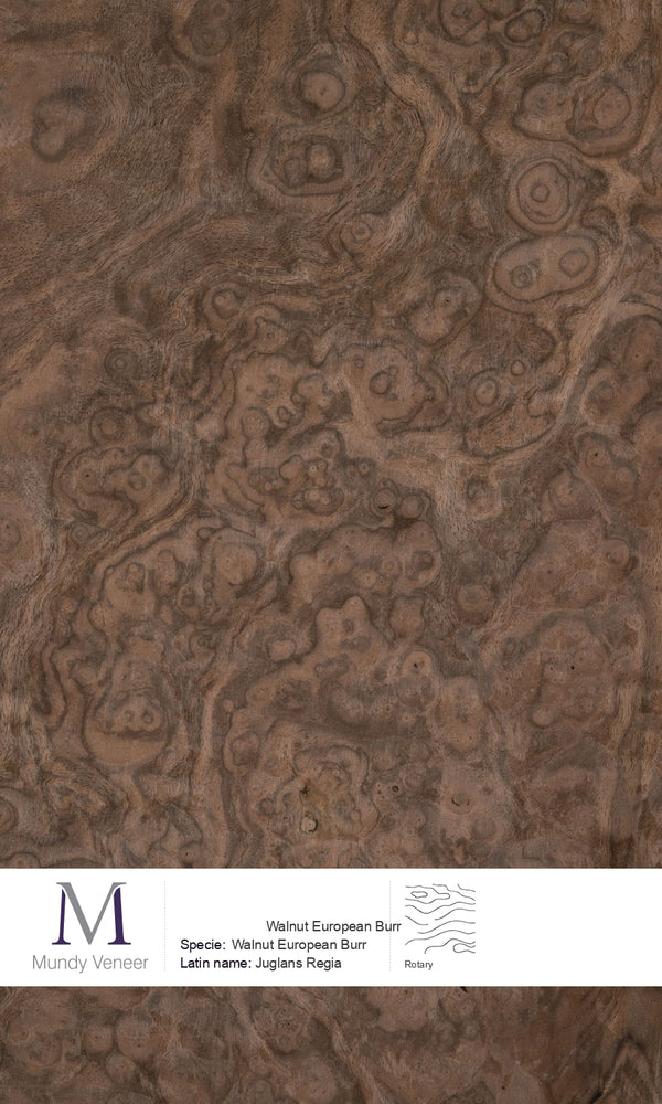 Walnut European Burr Wood Veneer | Natural Dyed Premium Veneer | Mundy ...