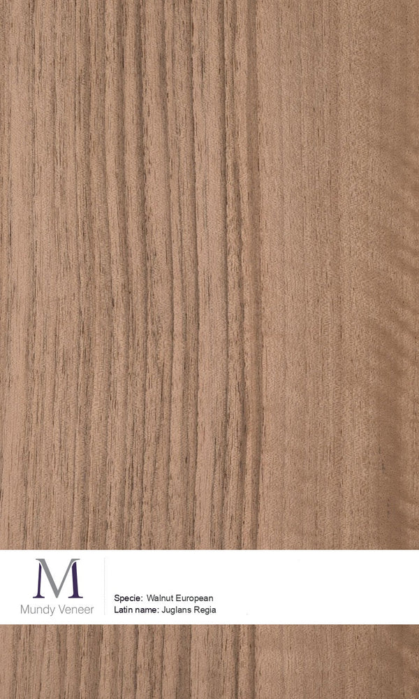 Walnut European Wood Veneer | Natural Dyed Premium Veneer | Mundy Veneer