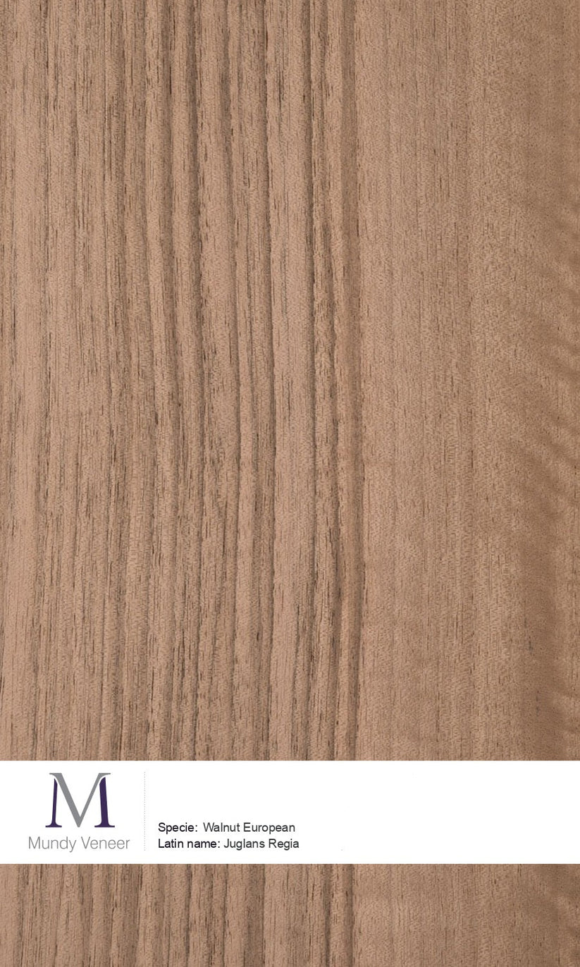 Walnut European Wood Veneer | Natural Dyed Premium Veneer | Mundy Veneer