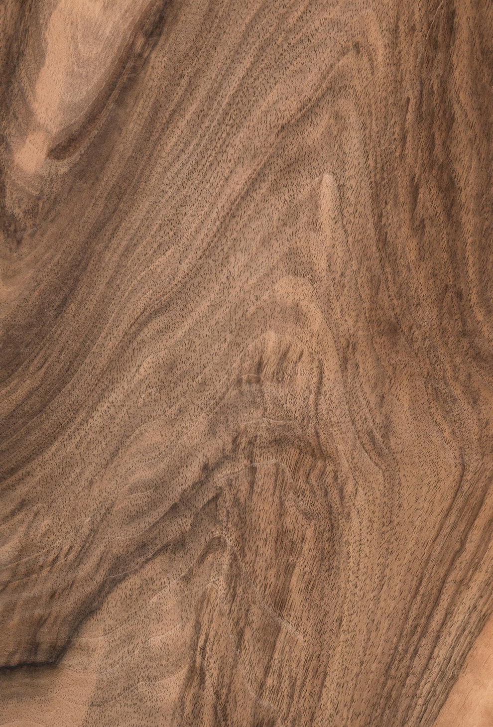 Walnut English Wood Veneer | Natural Dyed Premium Veneer | Mundy Veneer