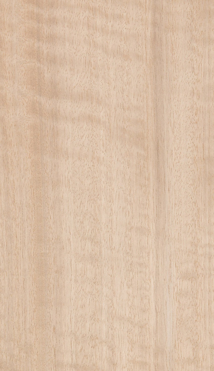 E5.S.017, Eucalyptus Figured Wood Veneer | Natural Dyed Premium Veneer | Mundy Veneer